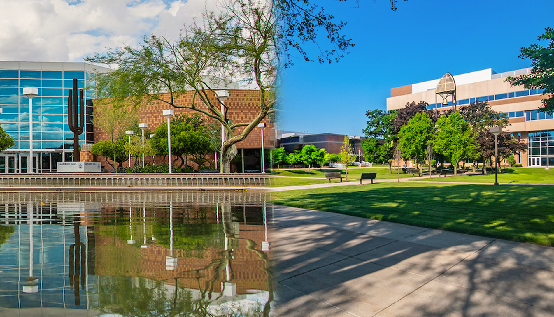 Midwestern University Drives Economic Growth Across Illinois and Arizona with $1.2 Billion ...